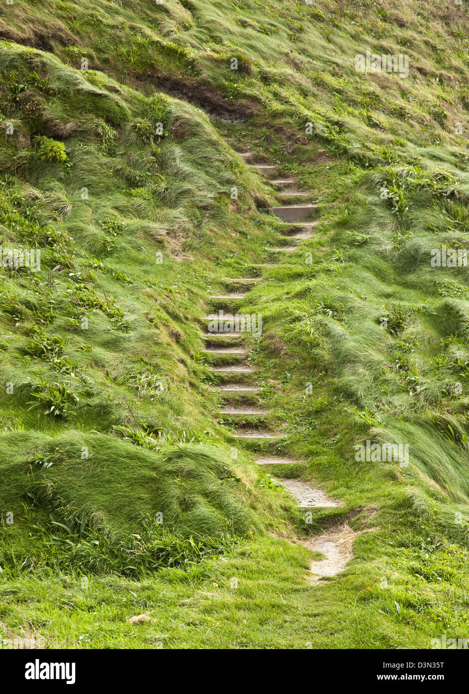 pembrokeshire coastal path with steps at marloes sands pembrokeshire ...