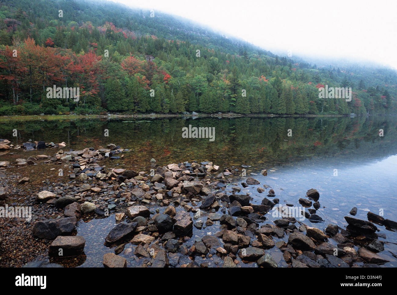 Elk282-2204 Maine, Acadia National Park, Bubble Pond Stock Photo - Alamy