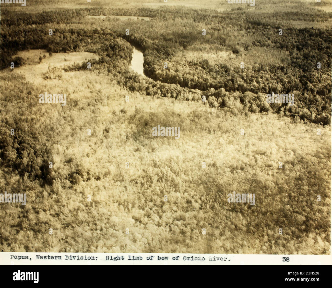 The Archbold Expedition Model 28, a Consolidated PBY aircraft, played a ...