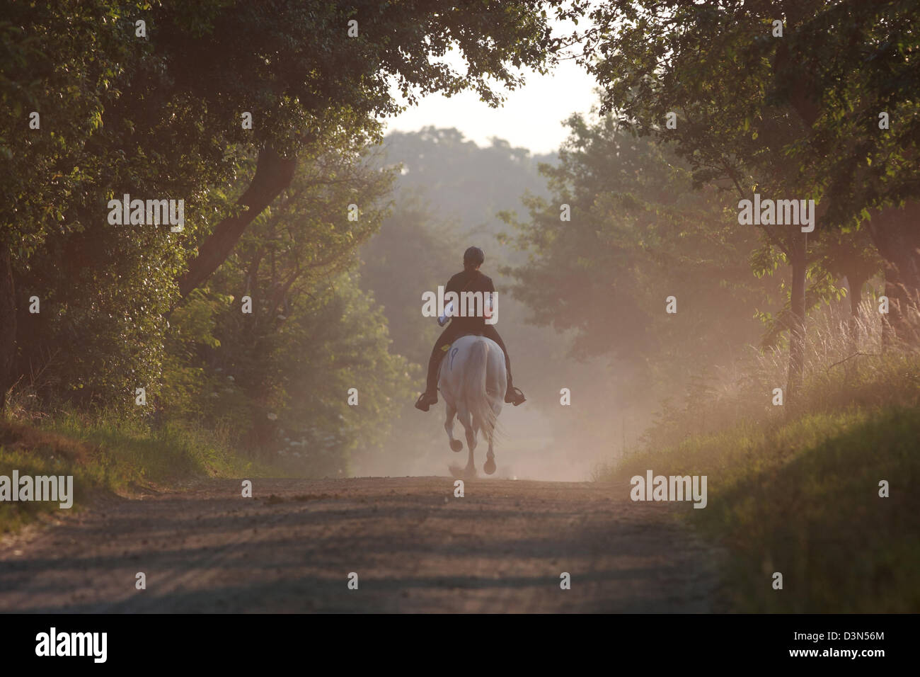 Britz, Germany, on a rider endurance ride Stock Photo - Alamy
