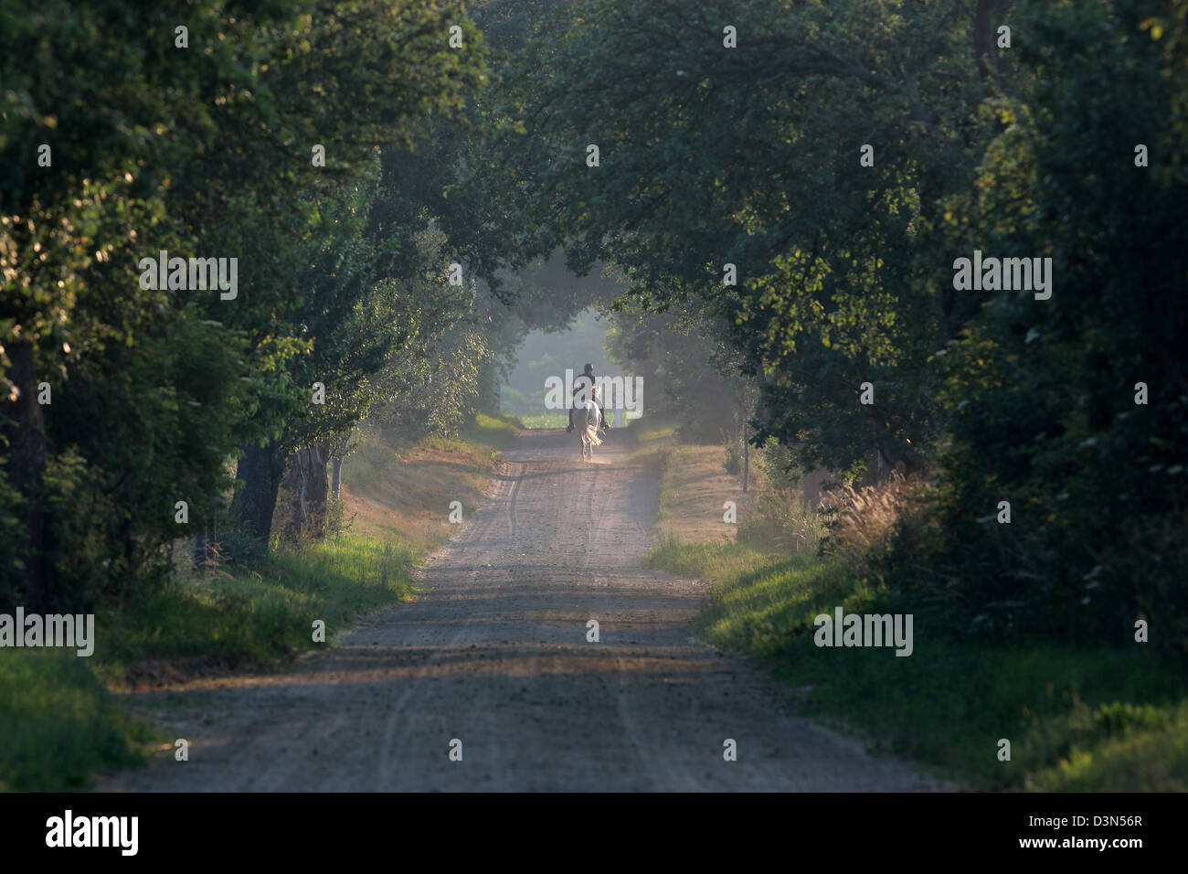 Britz, Germany, on a rider endurance ride Stock Photo - Alamy