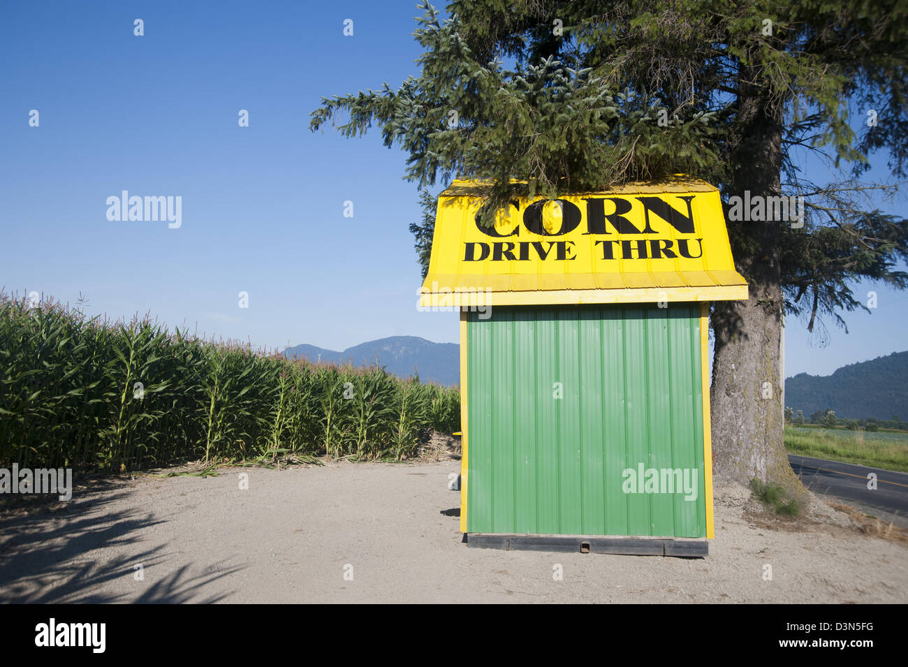 Corn shack drive through beside a crop of corn in a field Stock Photo - Alamy