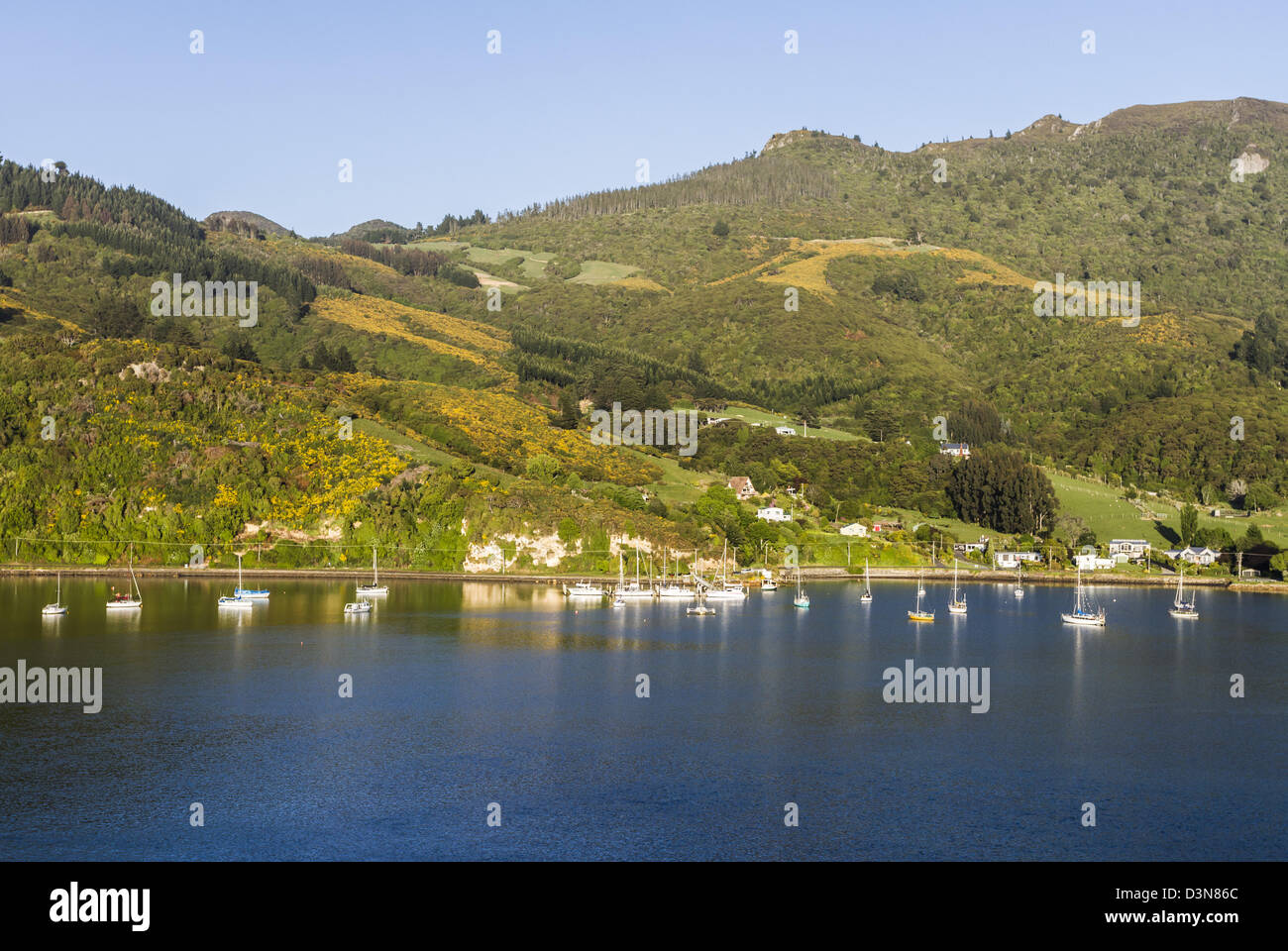 Rolling hills at Otago Harbour, Dunedin New Zealand Stock Photo - Alamy