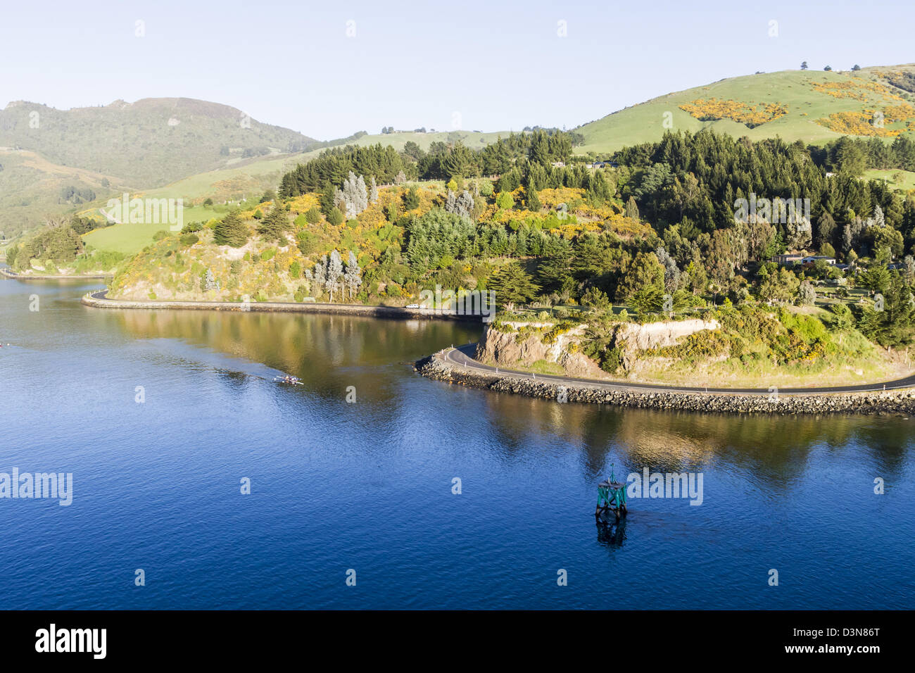 Rolling hills at Otago Harbour, Dunedin New Zealand Stock Photo - Alamy