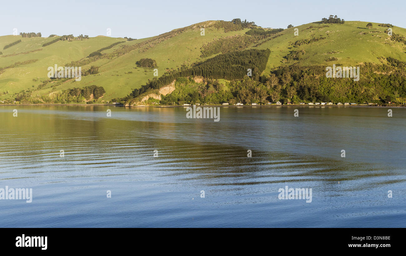 Rolling hills at Otago Harbour, Dunedin New Zealand Stock Photo - Alamy