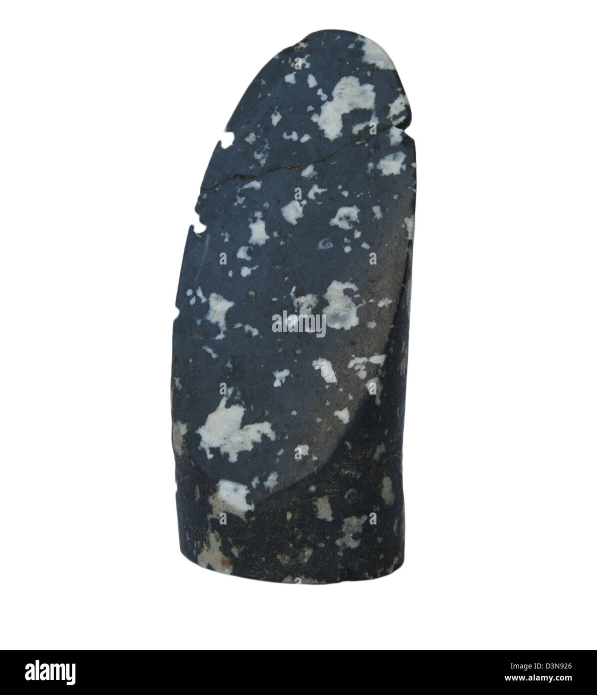 The sample of rock in a borehole core it is isolated on a black ...