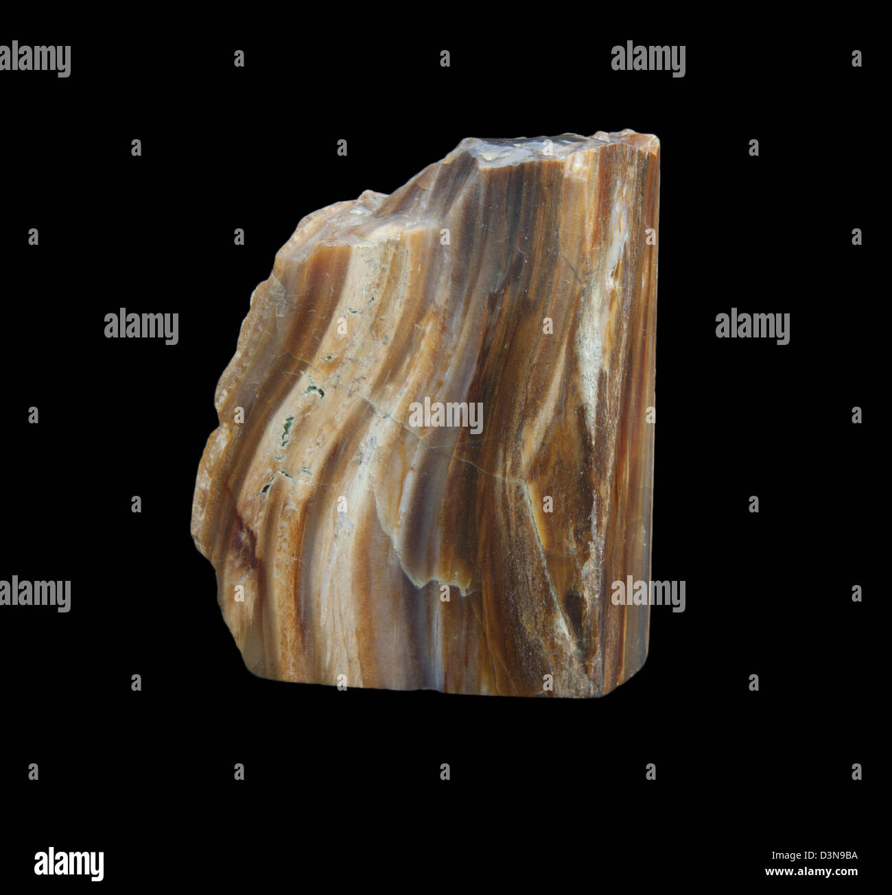 Boulder opal opal. tree Stock Photo - Alamy