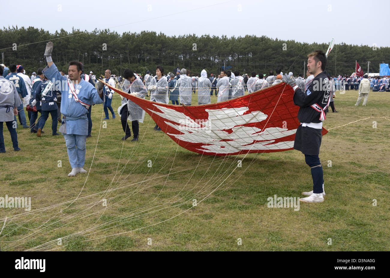 Kite flying team member signals ready to launch at Hamamatsu Takoage ...
