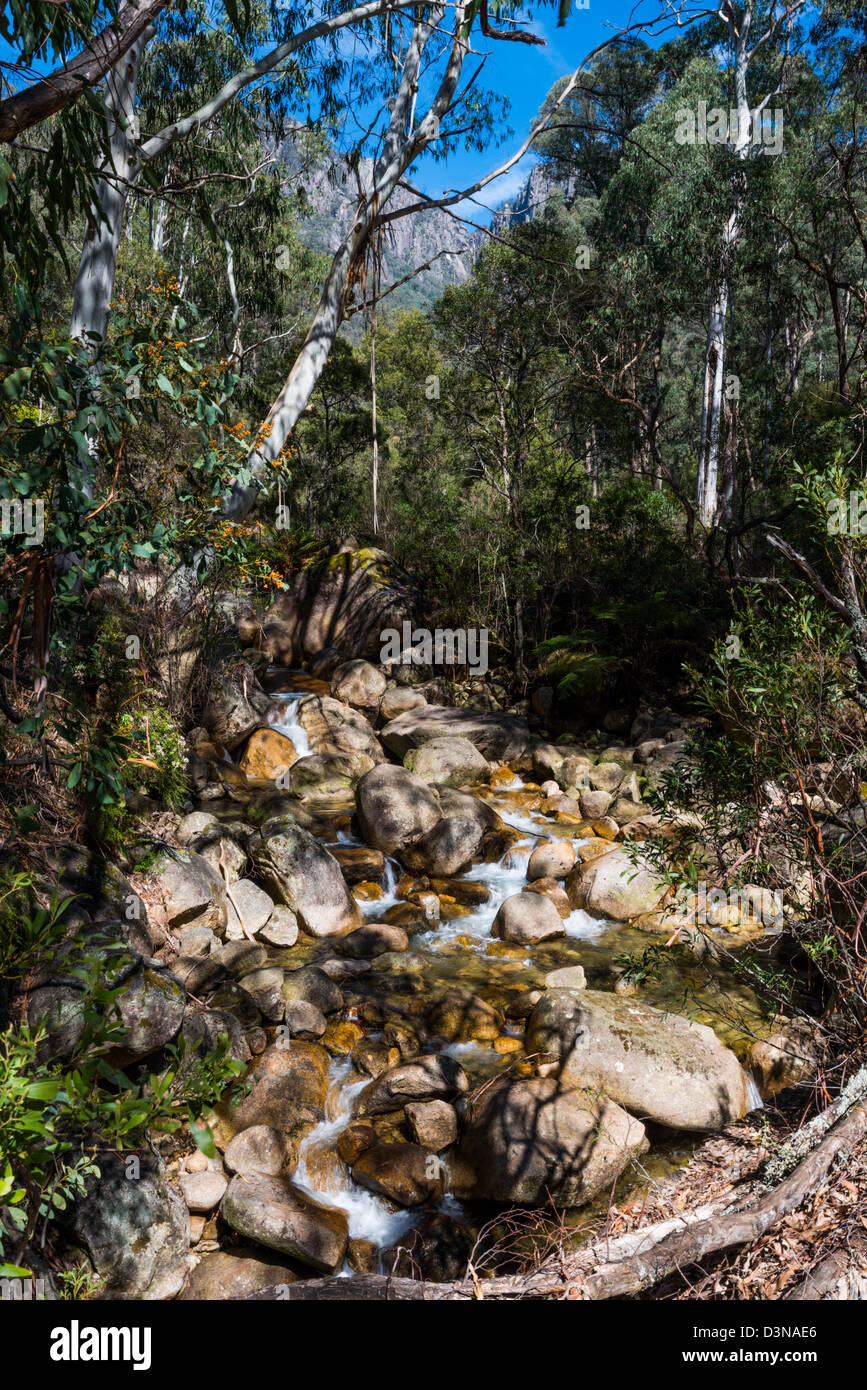 Mount Buffalo national park Victoria Australia Stock Photo - Alamy