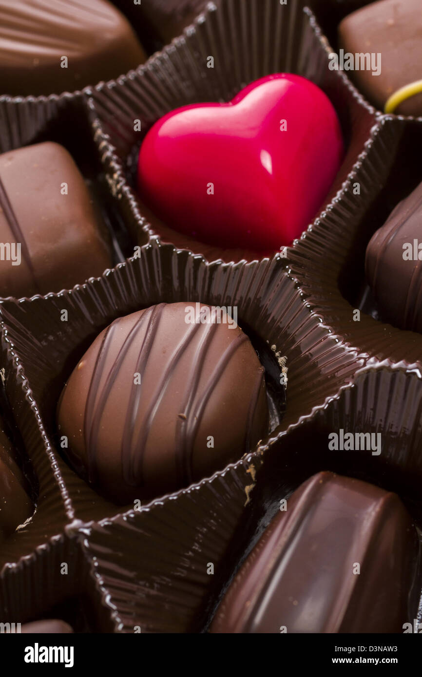 Assorted gourmet chocolate in a box Stock Photo - Alamy