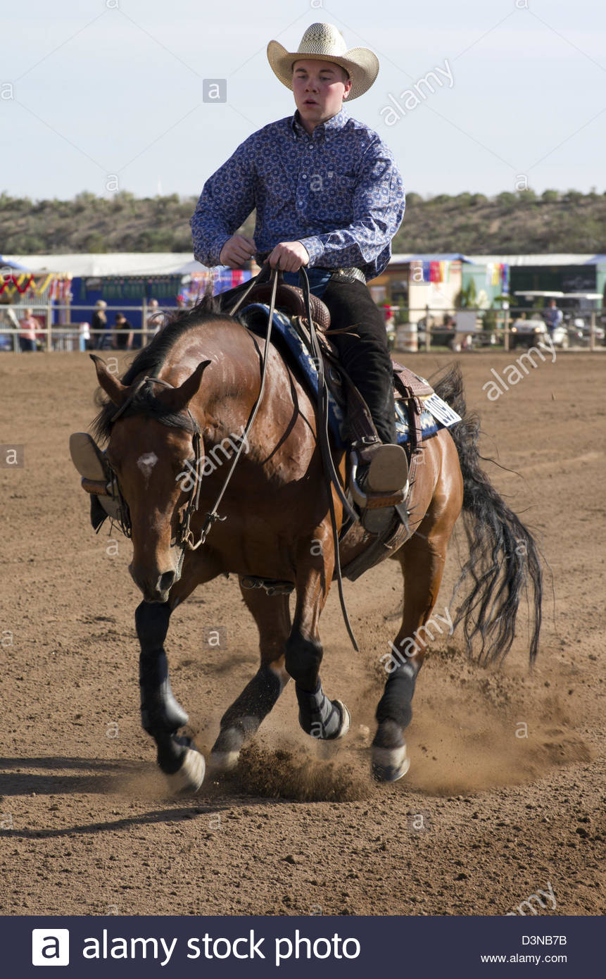 Reining In Horse High Resolution Stock Photography and Images - Alamy