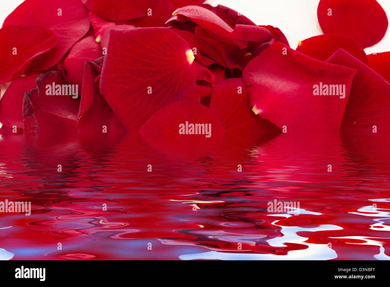 Rose petals bath water hi-res stock photography and images - Alamy