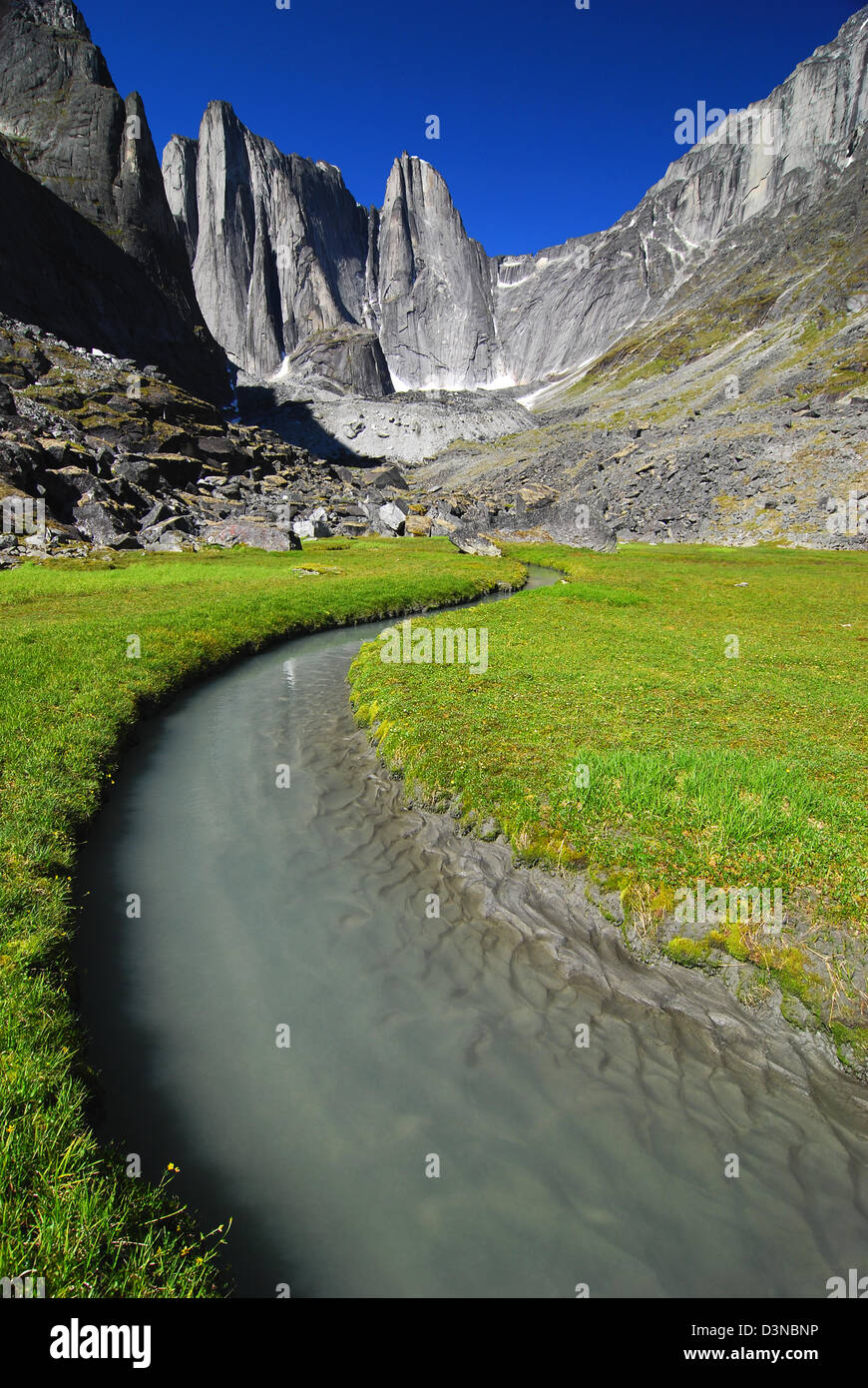 Meandering stream in Fairy Meadow, Cirque of the Unclimbables ...