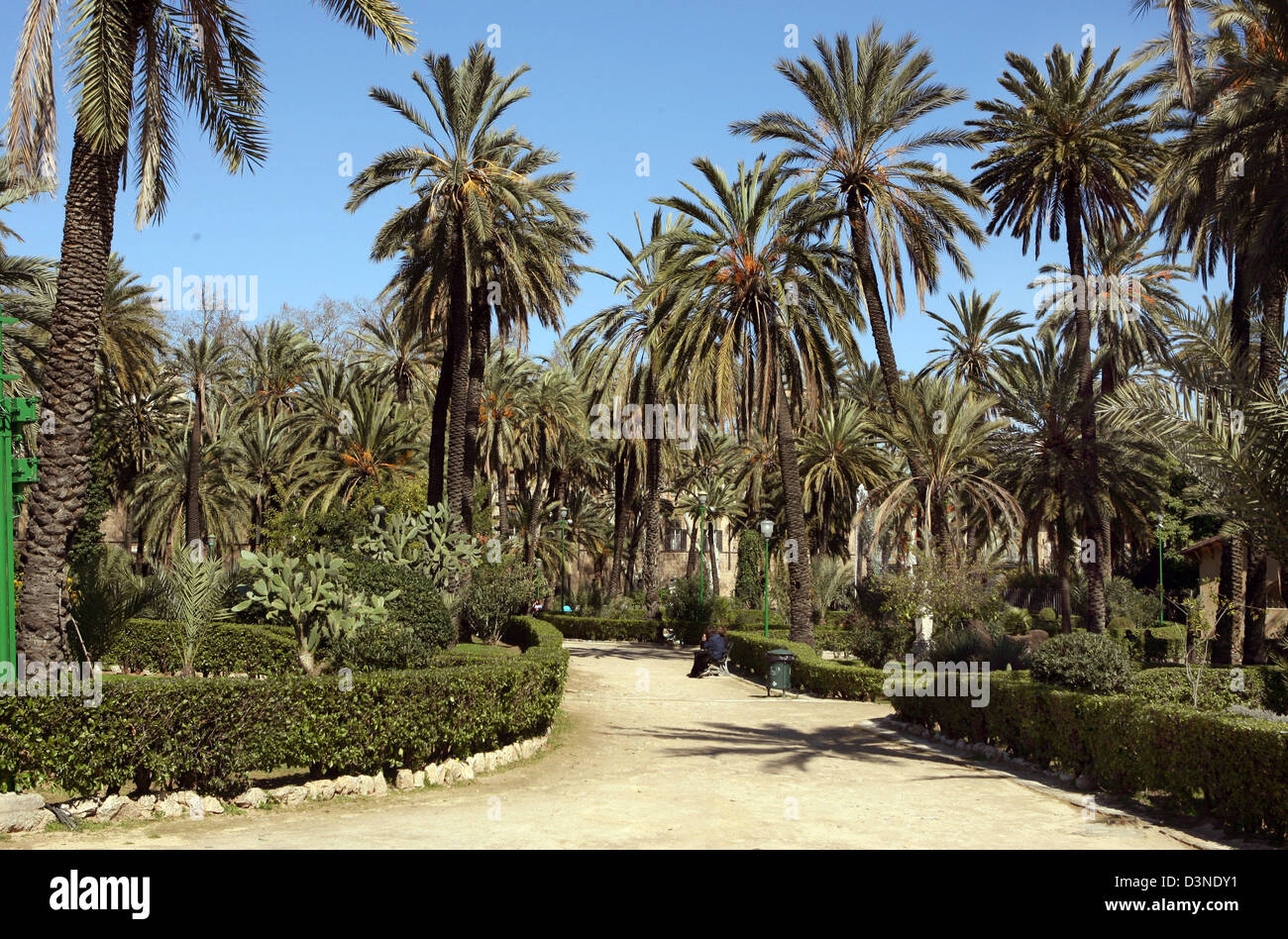 (dpa file) - The picture shows a park with palm trees in Palermo, Italy ...