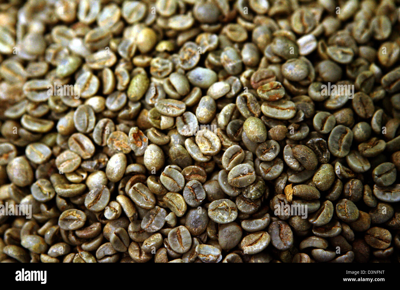 The picture shows a sample of green coffee in Neumann Kaffee Group's ...