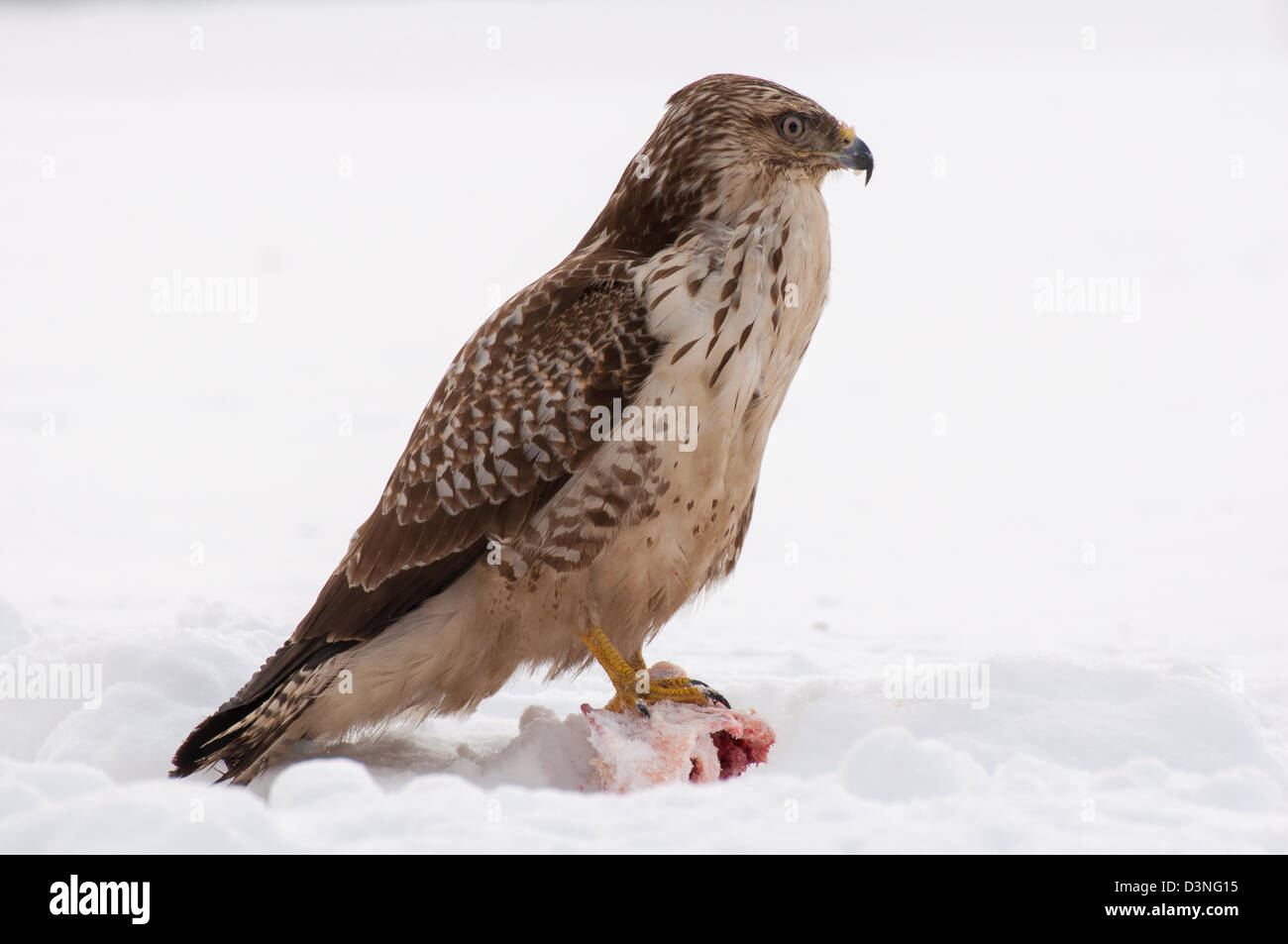 Difficult to eat hi-res stock photography and images - Alamy