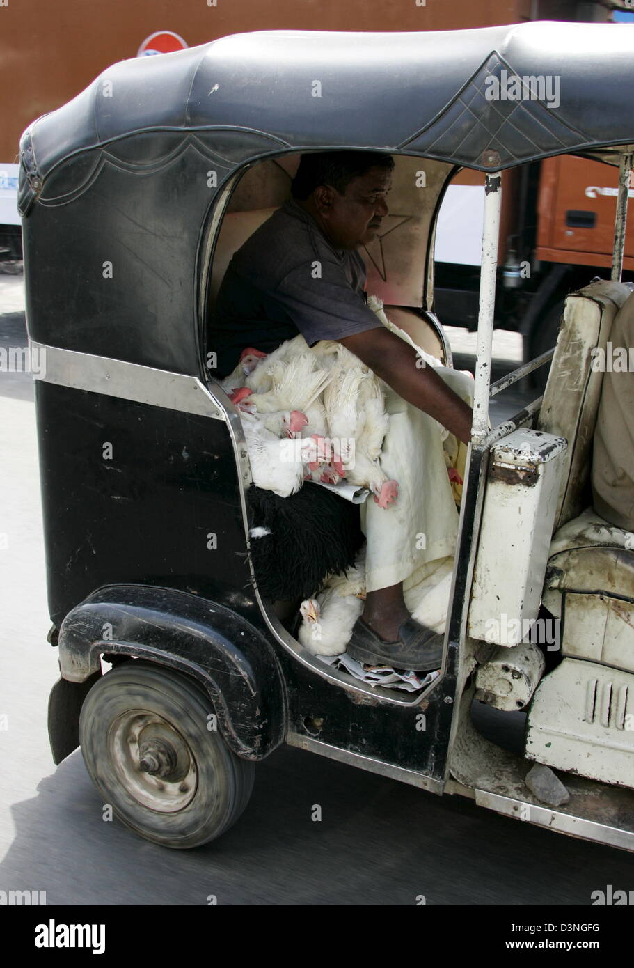 A man transports living chicken in a so-called tuk-tuk(motorised ...