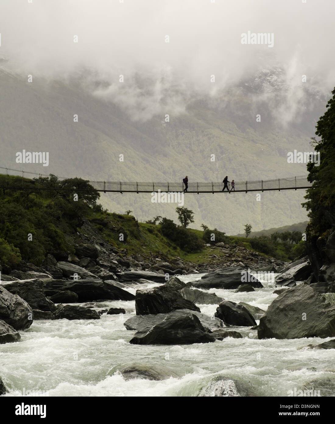 Three people cross a suspension bridge; Rob Roy Glacier Track, Mt ...