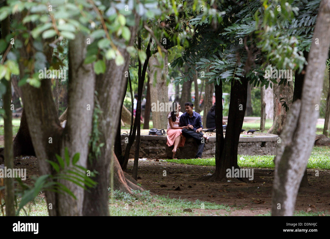 Lovers pictured under trees in the Viharamahadevi Park of Colombo, Sri ...