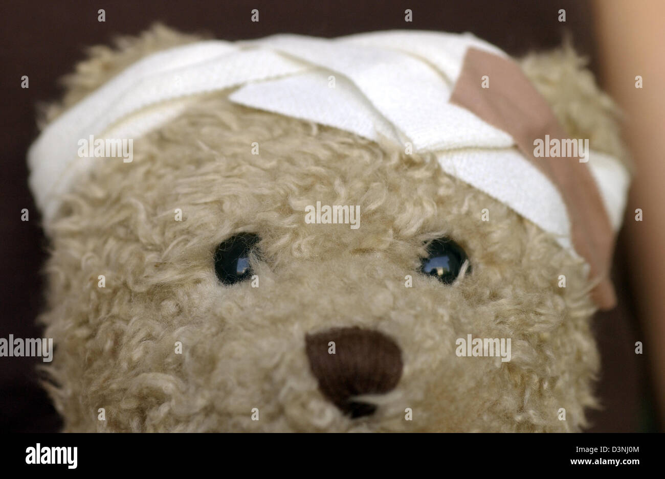 The injured head of a fleecy teddy bear is band-aided. Photo: Alice ...