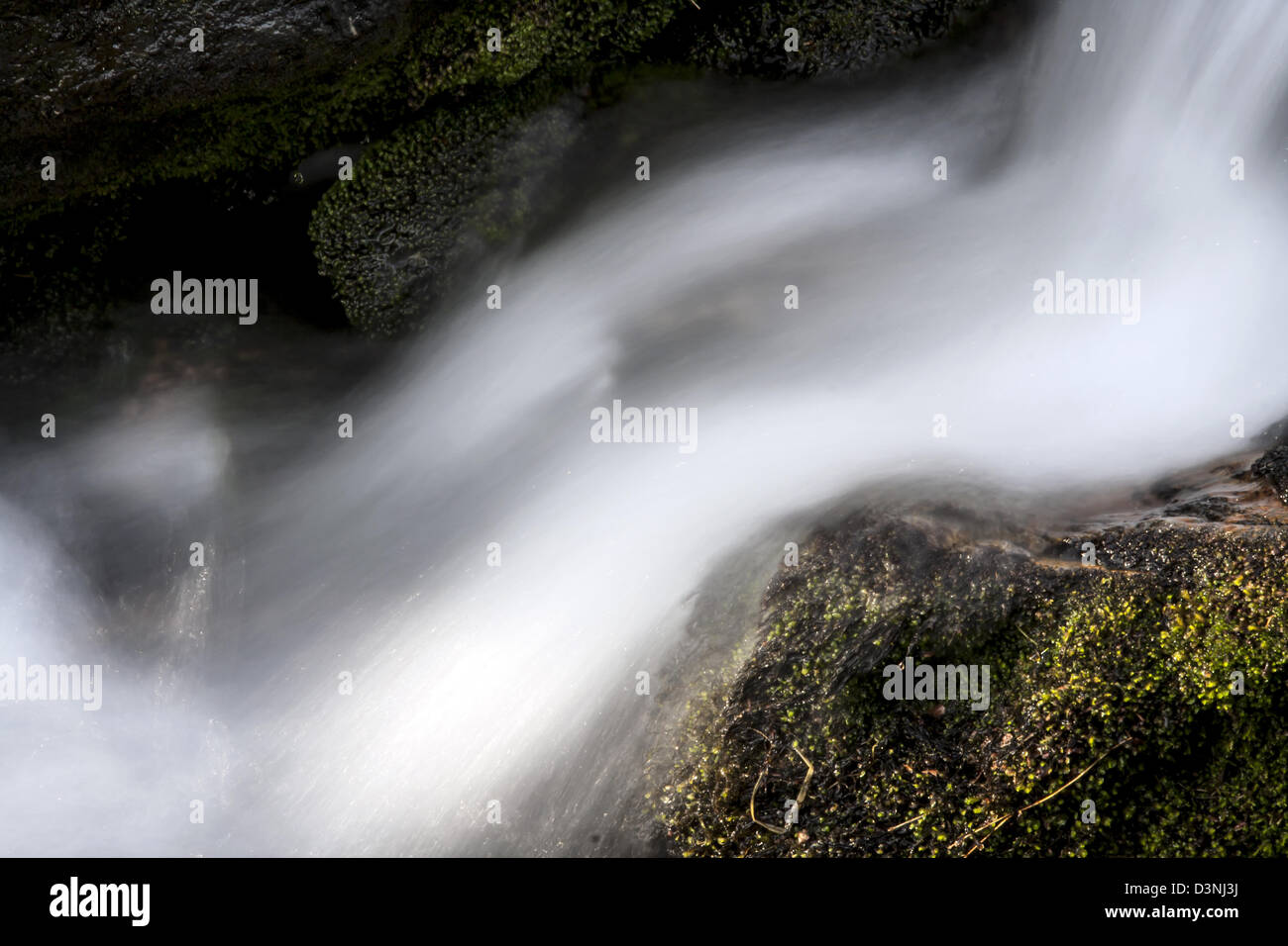 Flowing water plant hi-res stock photography and images - Alamy