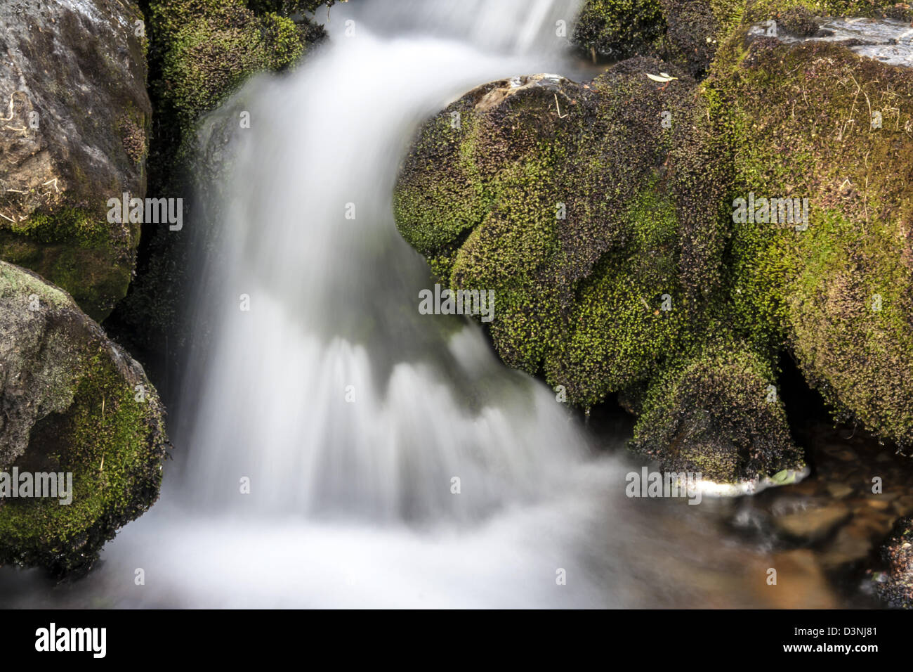 Rain water flowing from hi-res stock photography and images - Alamy