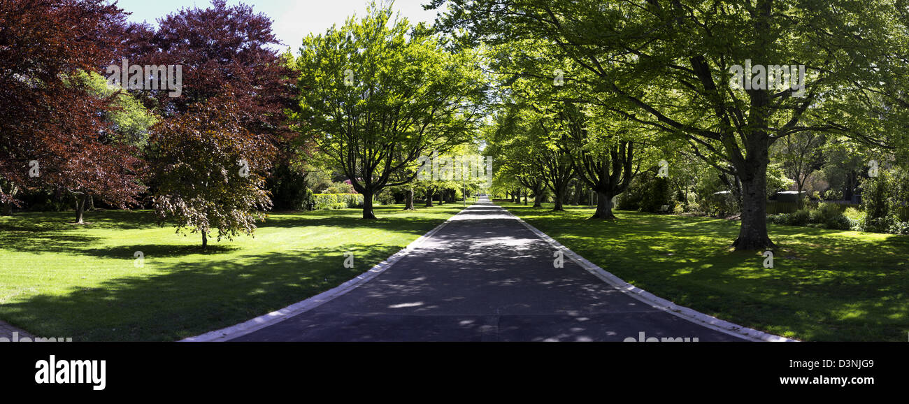View of Queens Park, central Invercargill, New Zealand Stock Photo - Alamy