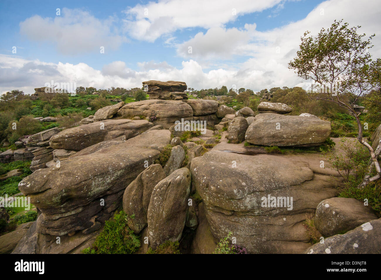 Rock formations at Brimham Rocks in Yorkshire Stock Photo - Alamy