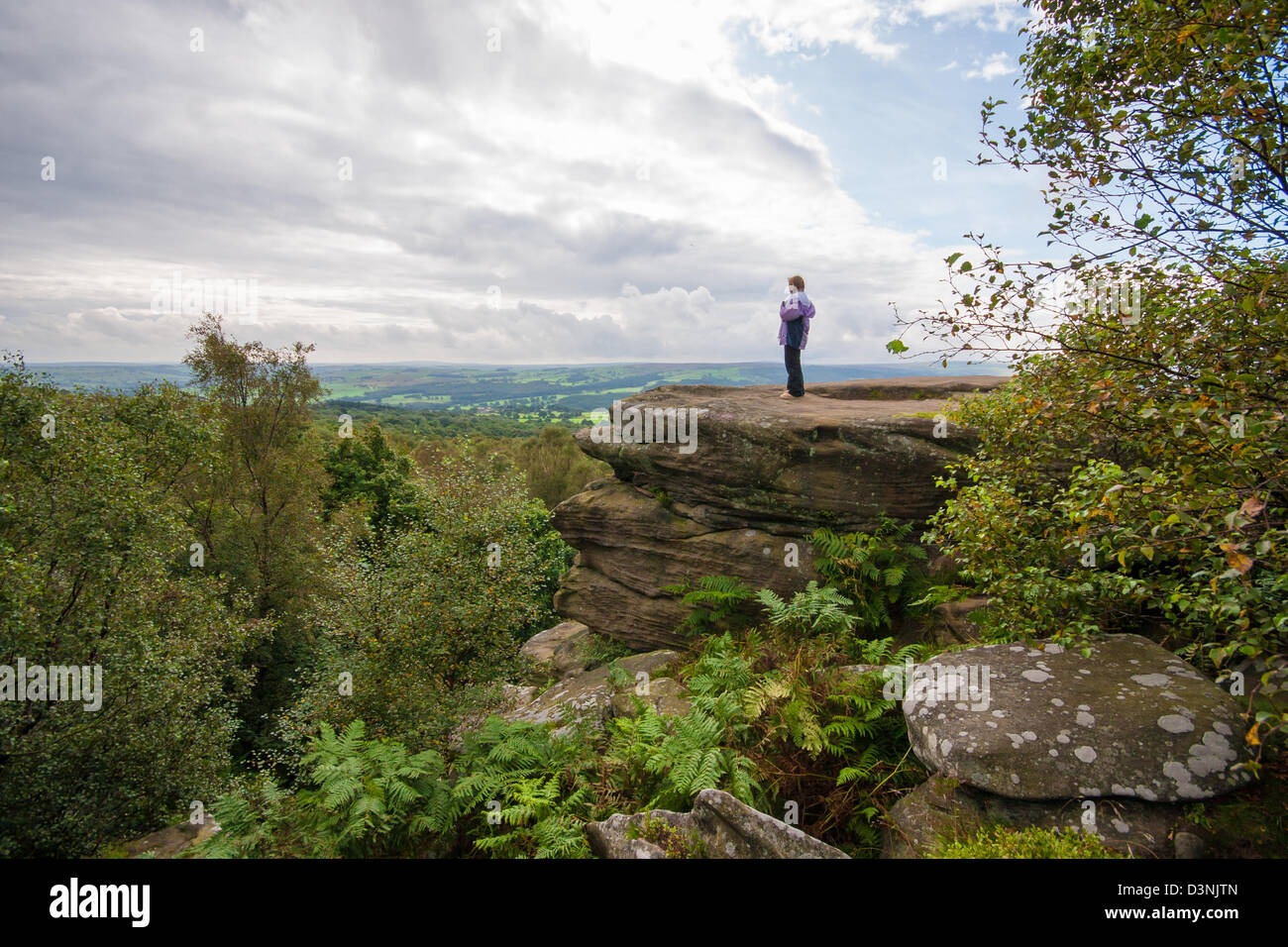 Rock formations at Brimham Rocks in Yorkshire Stock Photo - Alamy