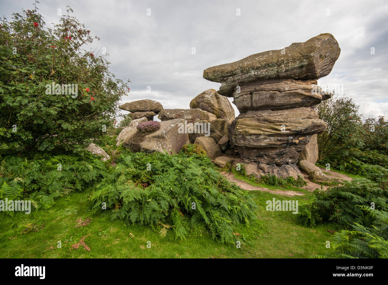 Rock formations at Brimham Rocks in Yorkshire Stock Photo - Alamy