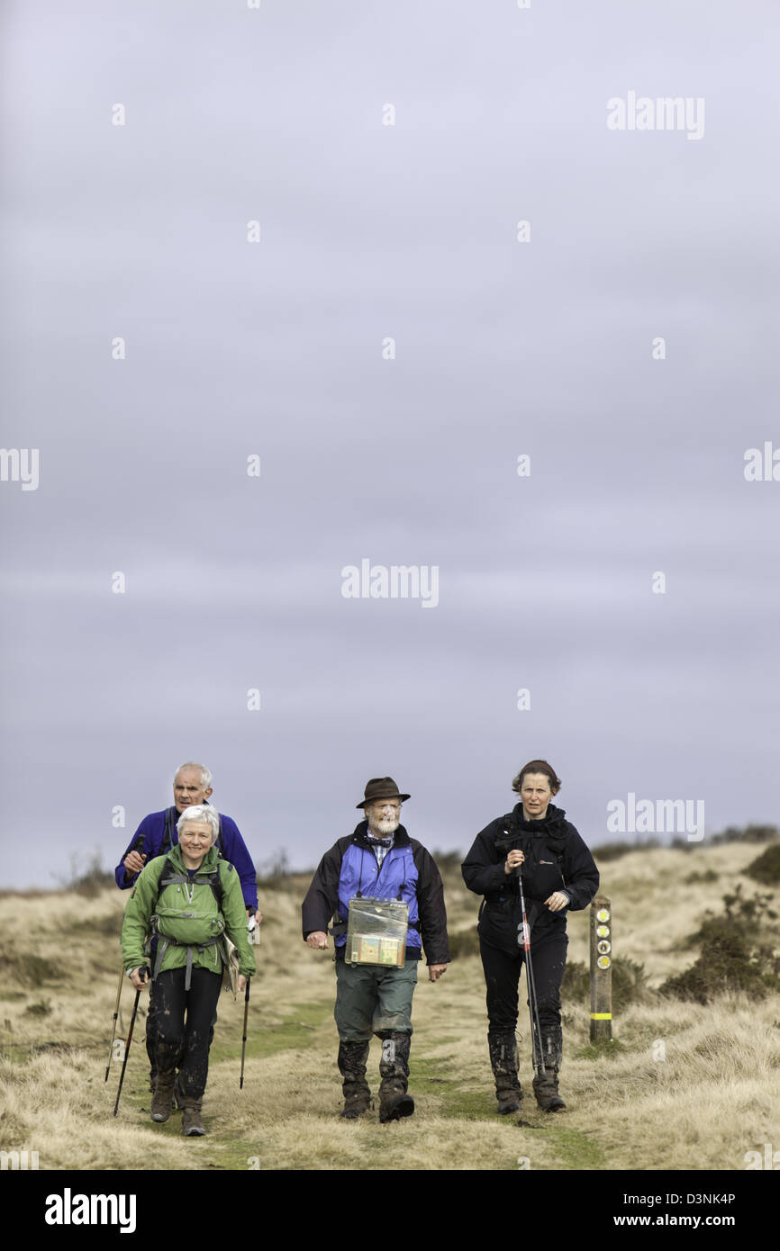 Stapely common hi-res stock photography and images - Alamy