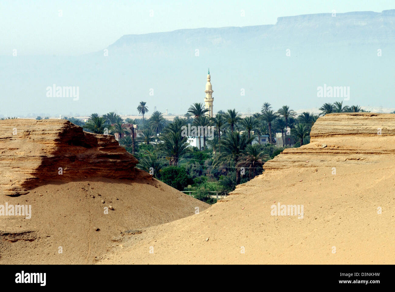 The minaret of a mosque pictured through palms in the desert at the ...