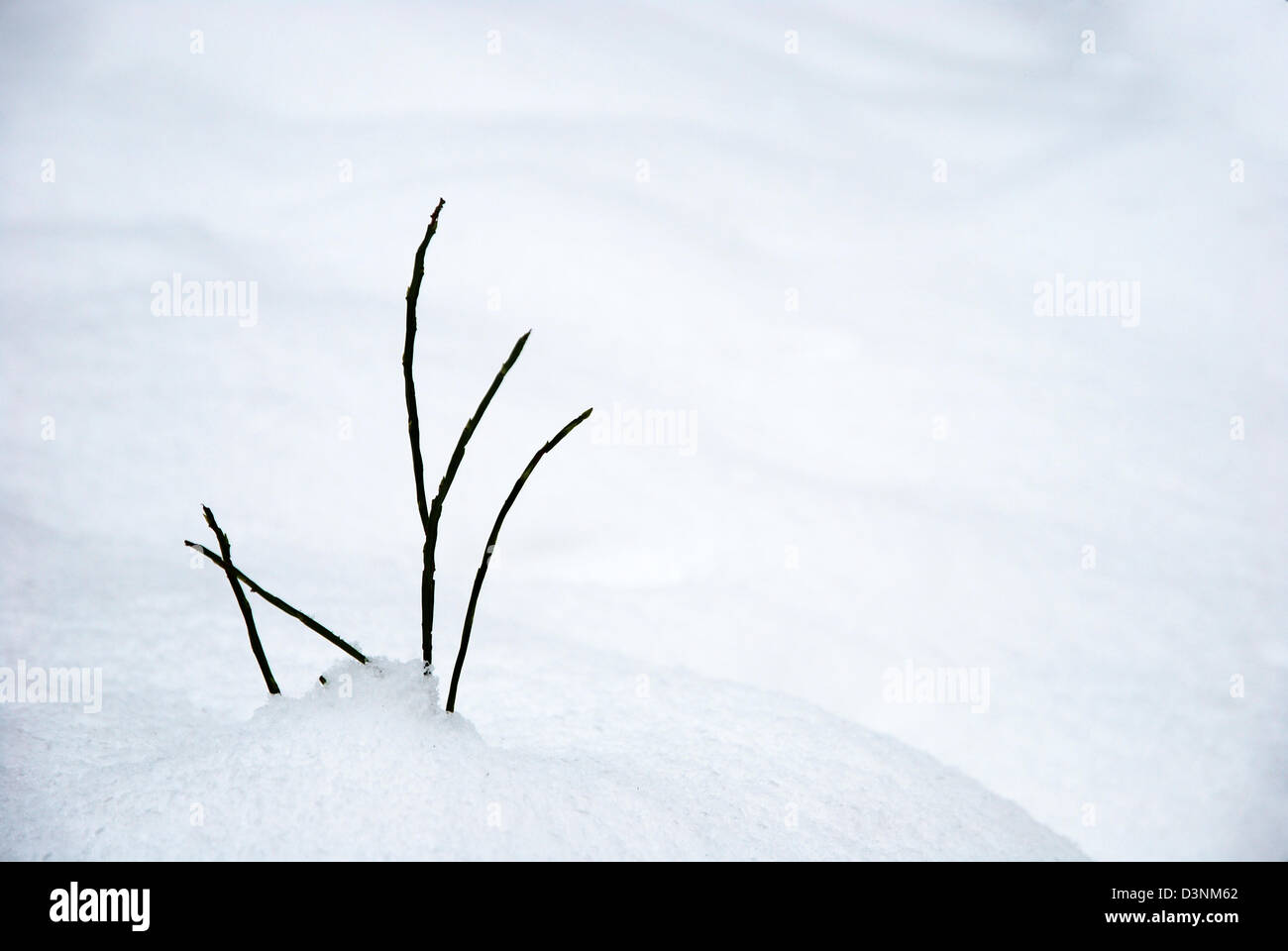 Silhouette in snow Stock Photo - Alamy