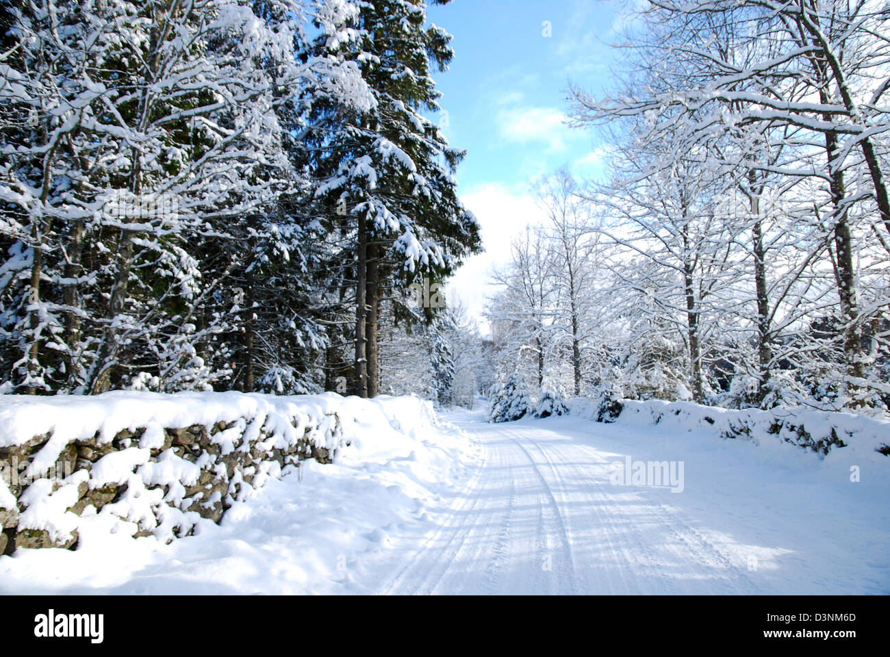 Road in winter landscape Stock Photo - Alamy