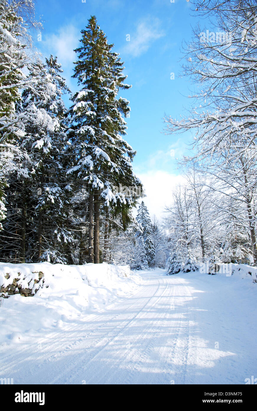 Snowy dirt road Stock Photo - Alamy