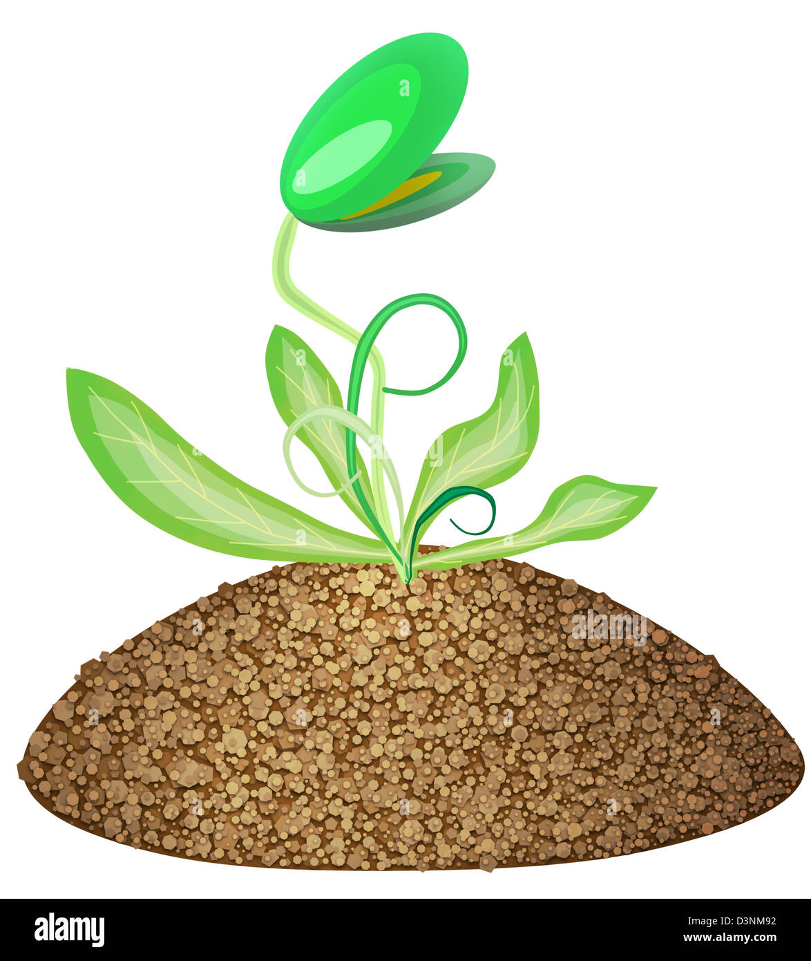 Isolated abstract green young sapling sprout of plant on humus bed ...