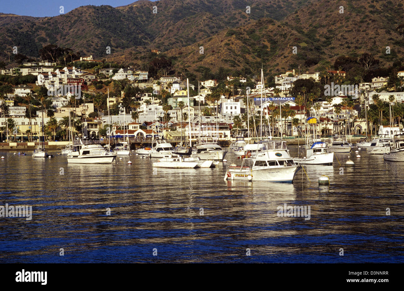 Climbing the hillsides from its bay, the village of Avalon has a ...