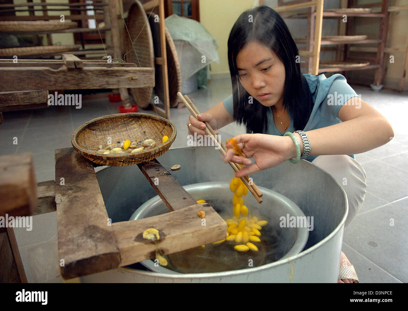 Boiling Silkworm Cocoons