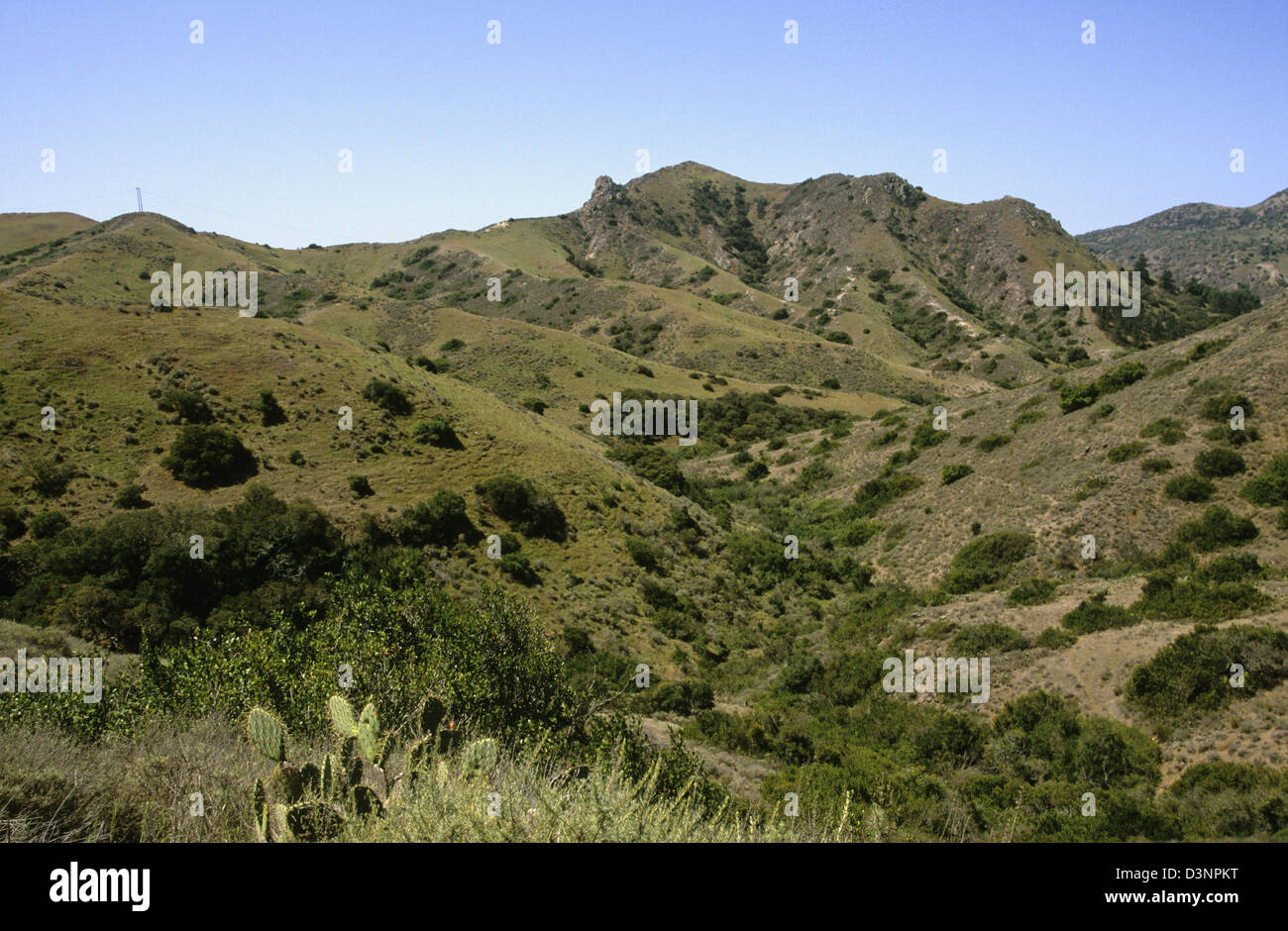 Rugged mountains and back-country of Catalina Island, California, USA ...