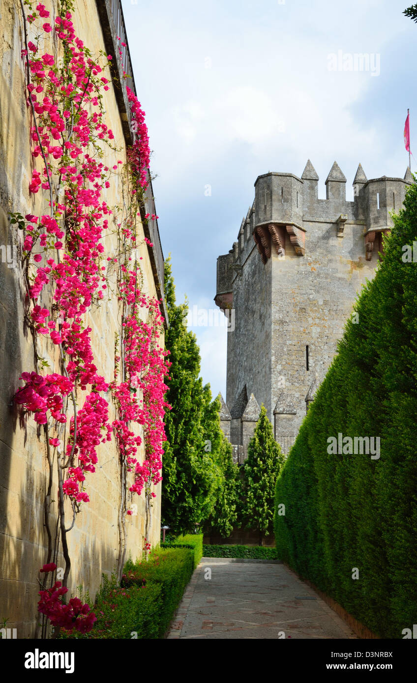 Courtyard of the medieval castle restored Stock Photo - Alamy