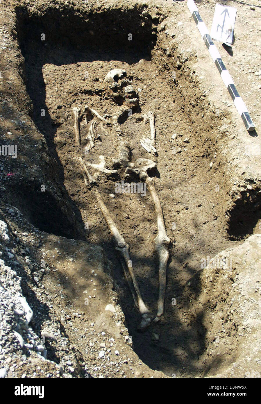Medieval skeleton archaeology hi-res stock photography and images - Alamy