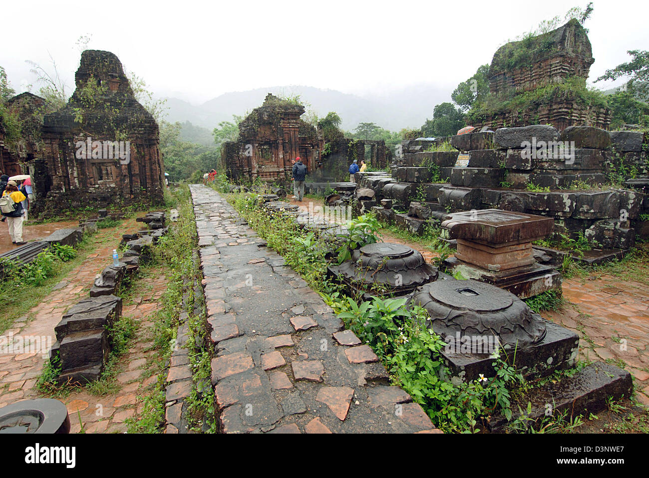 The Champa-temple, World Heritage Site since 1999, photographed in My ...