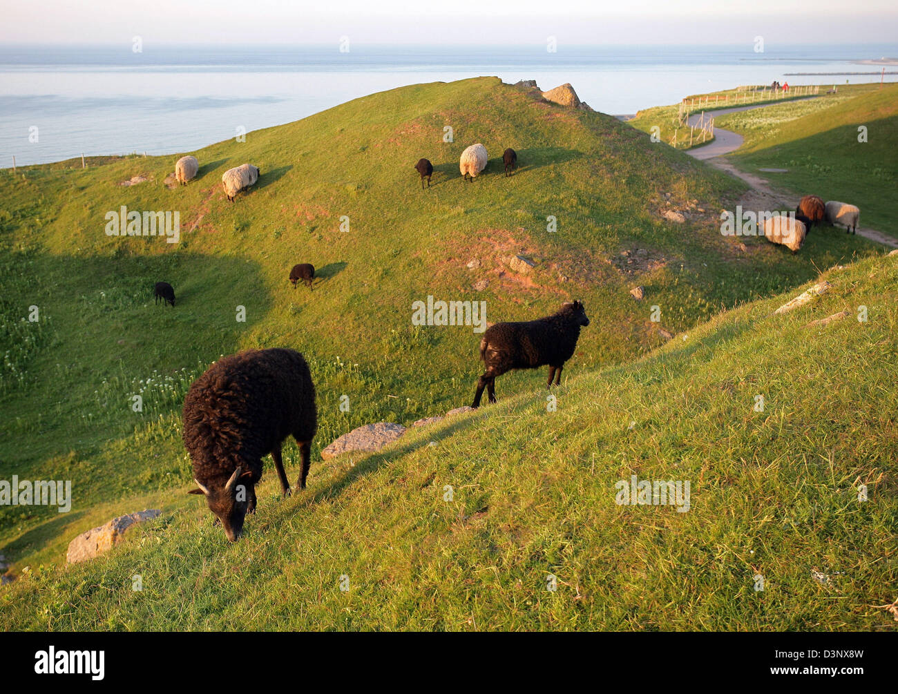 Flat land on hilly island hi-res stock photography and images - Alamy