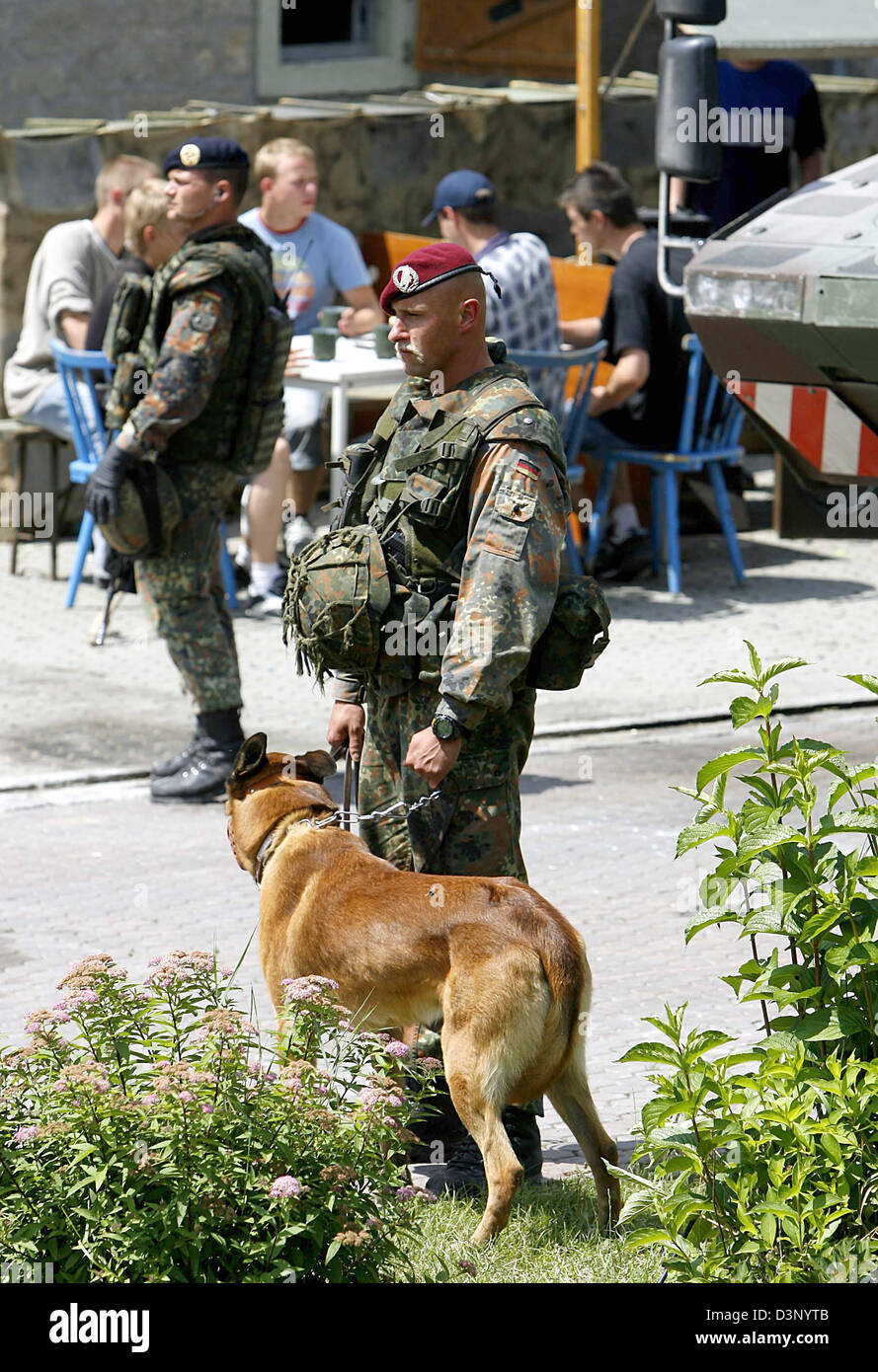 Two soldiers in battle dress patrol with a trained dog past soldiers ...