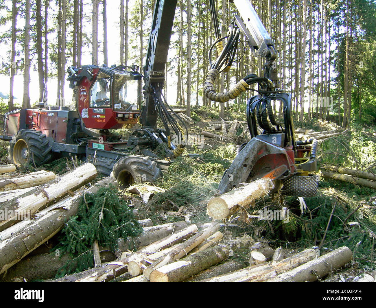 Forest complete harvester hi-res stock photography and images - Alamy