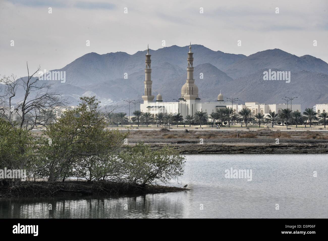 Kayaking in Kalba (Sharjah Emirate) on the oldest mangrove Arabia Stock ...