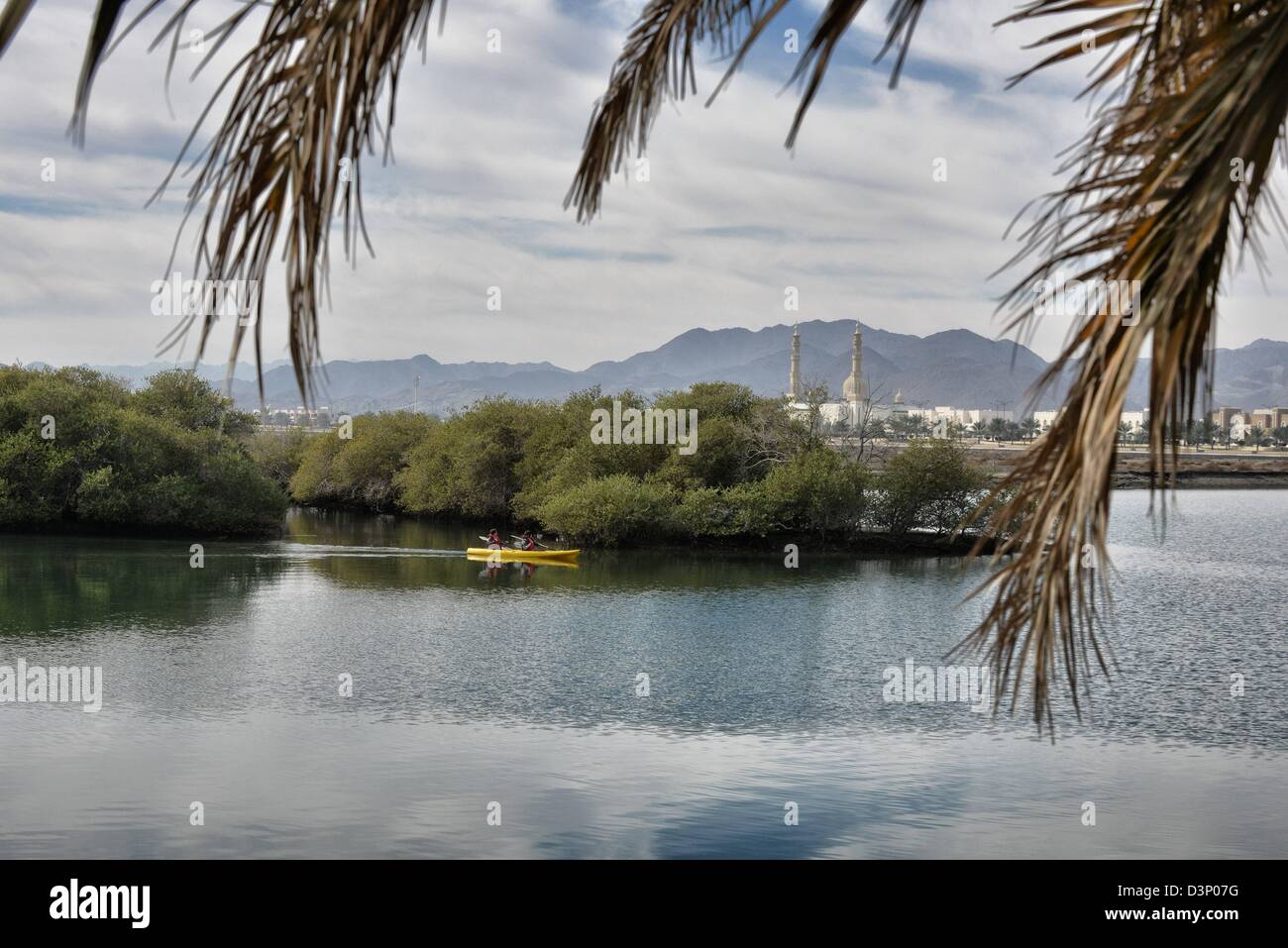 Kayaking in Kalba (Sharjah Emirate) on the oldest mangrove Arabia Stock ...