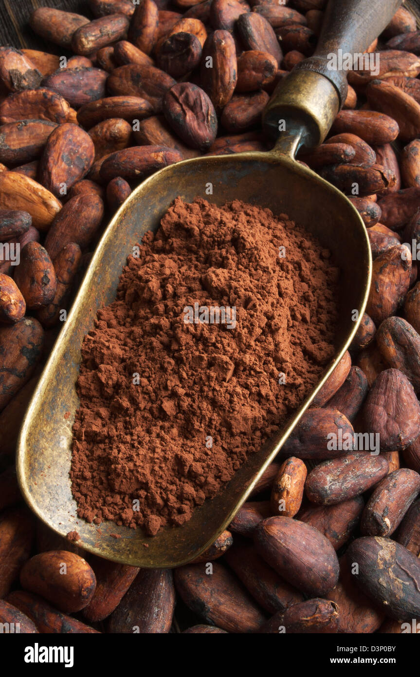 cocoa beans and retro scoop with cocoa powder Stock Photo - Alamy