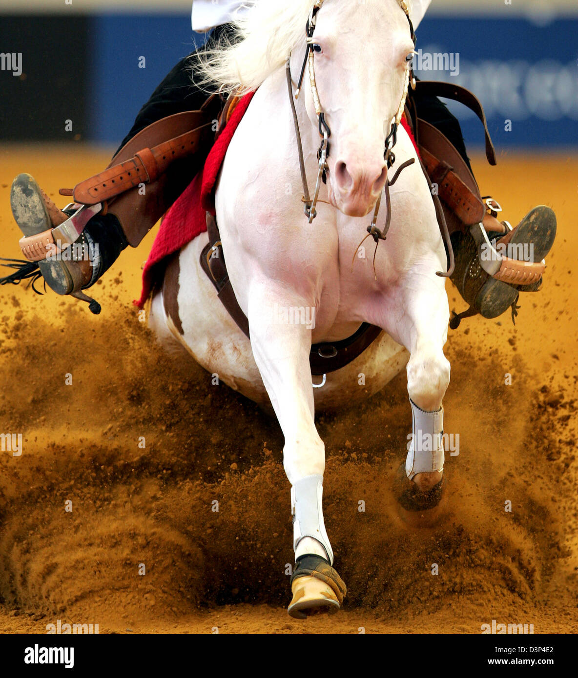 A horse brakes during the Reining competition of the FEI World ...