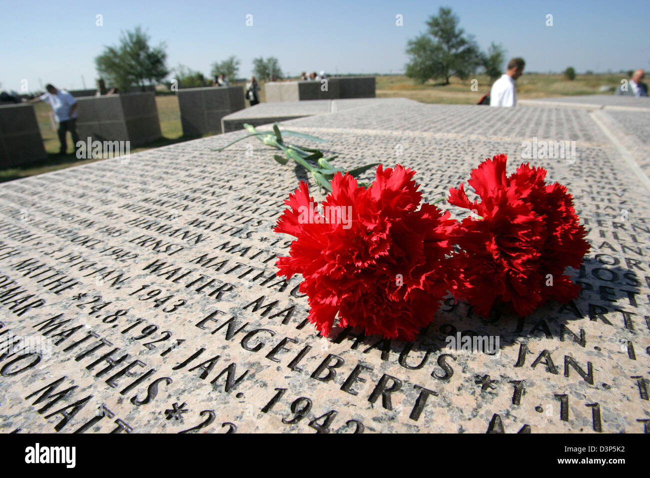Red cloves lie on top of a granite memorial stone at the military ...